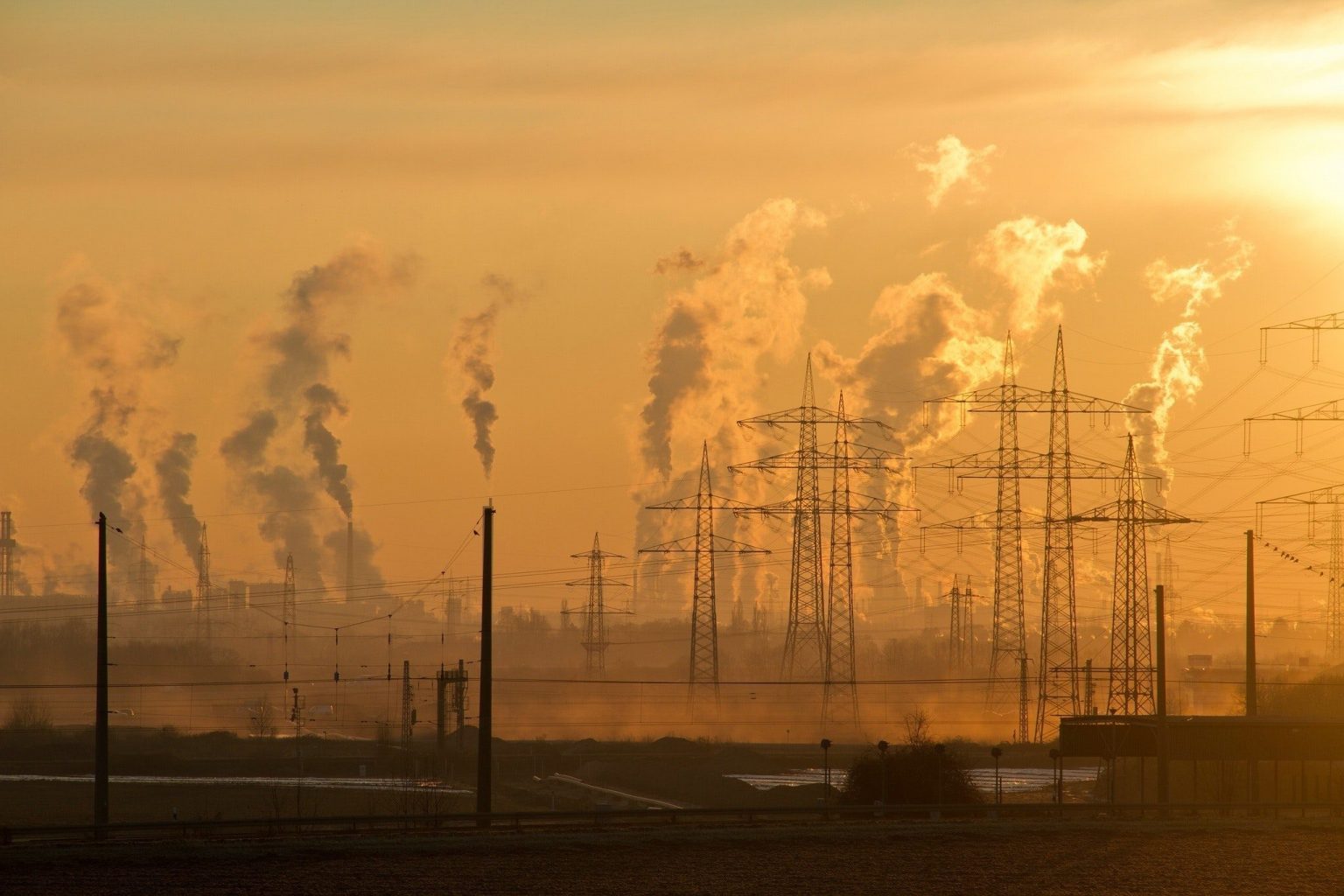 'Our responsibility to protect nature': Qatar National Dialogue on ...