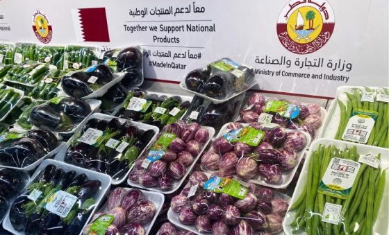 Qatar sows the seeds for higher profits for local farmers - Doha News ...