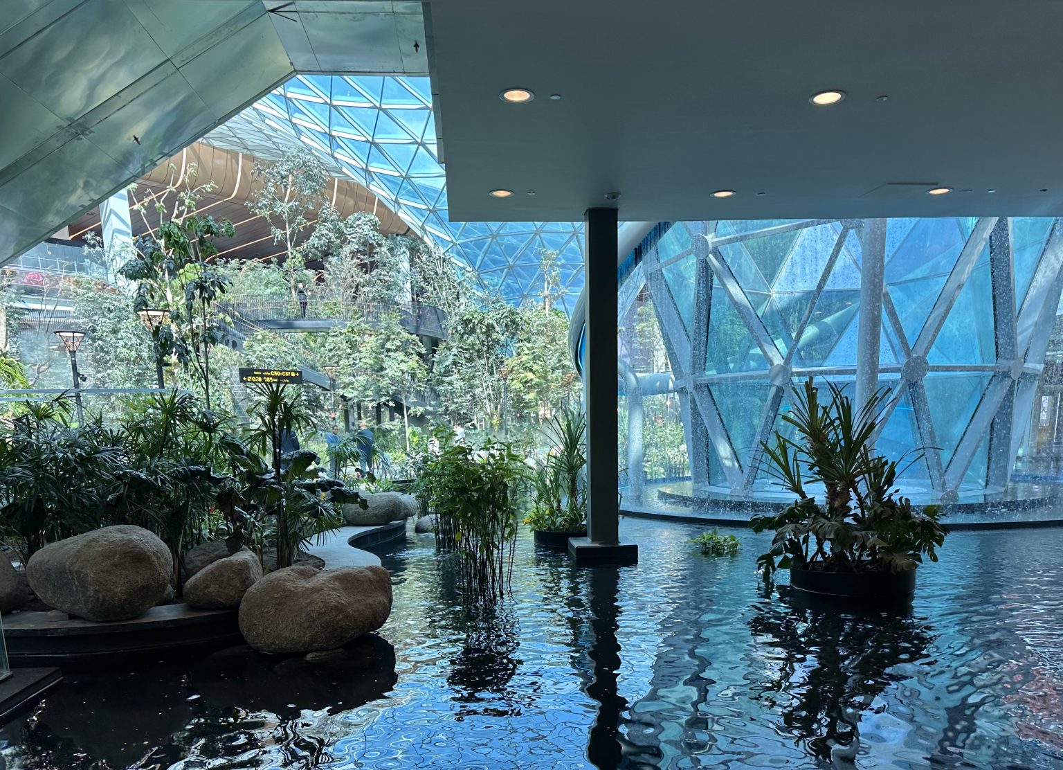 Orchard: Hamad Airport's stunning new 'jungle-like' expansion in ...