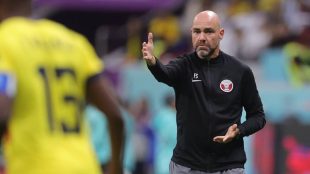 Ecuador appoints former Qatar football coach to its pitch - Doha News ...