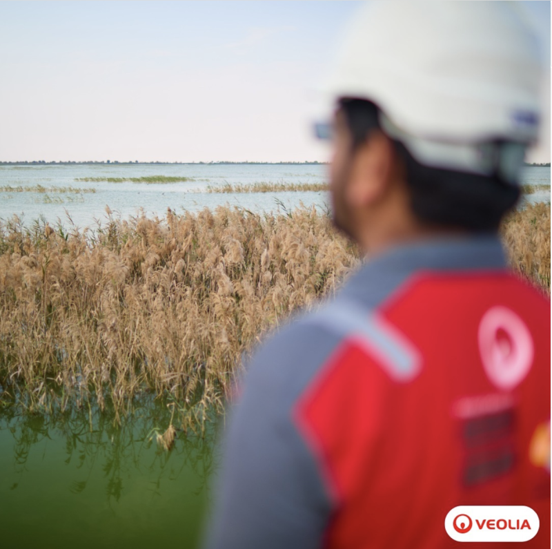 Qatar's efforts to preserve wildlife and nature - Doha News | Qatar