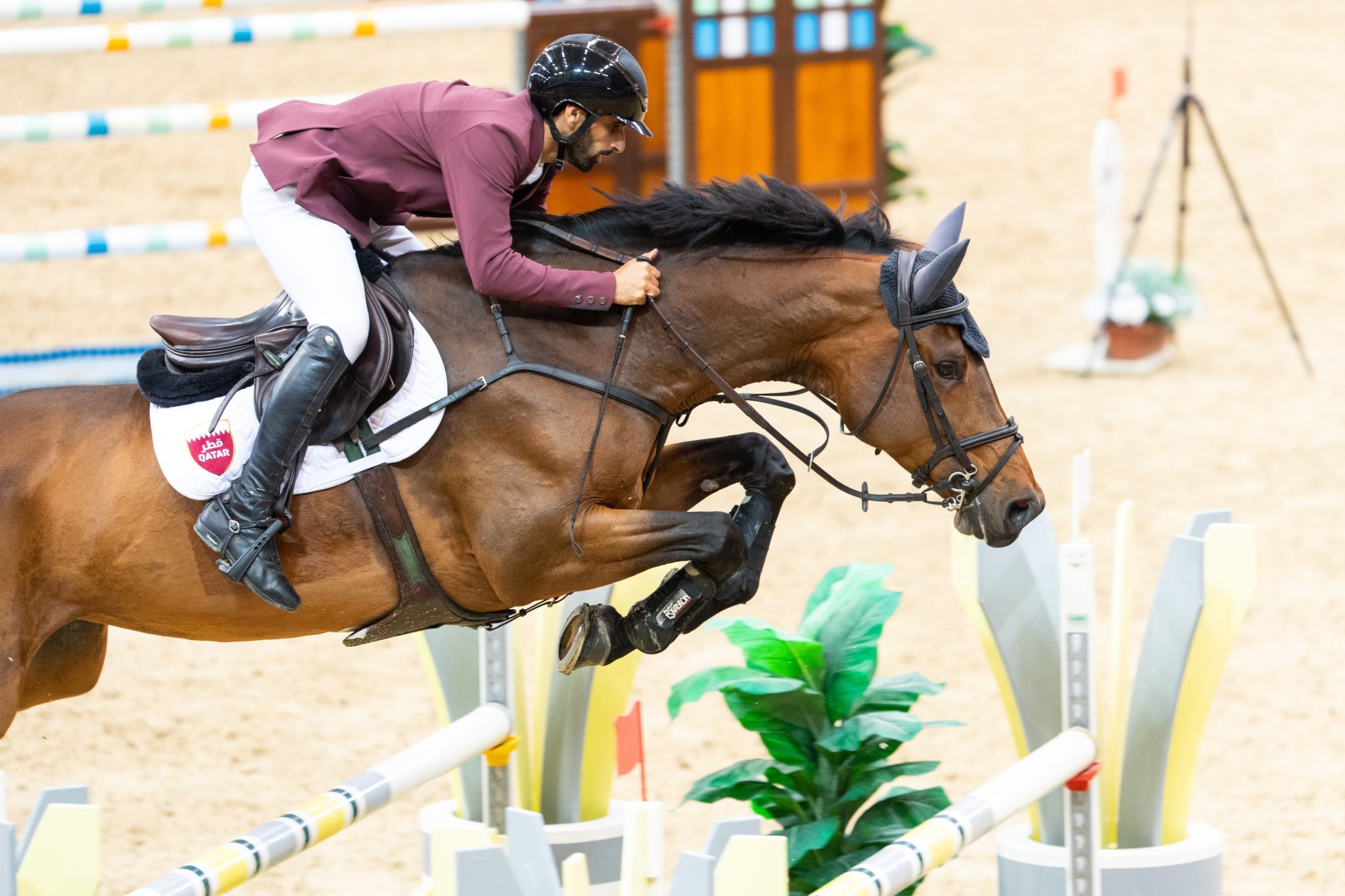 Al Shaqab Cup 2026 opens, marking Doha Equestrian Tour return - Doha ...